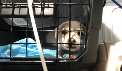 You can now buy a calendar of shirtless Mass. firefighters posing with ...