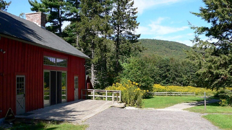 Tanglewood to host live music again this summer, releases 2021 schedule