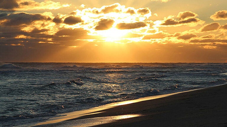 15 Cape Cod hiking destinations, one for every town