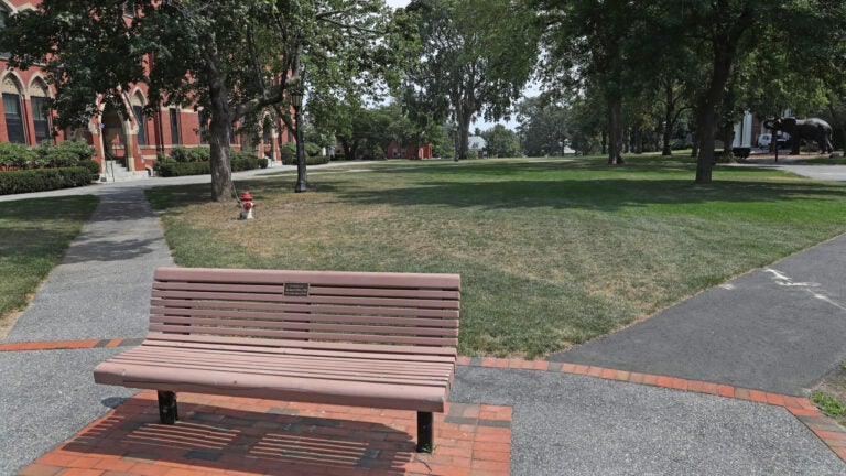 Tufts has promised $25M to become an anti-racist university. Here's ...