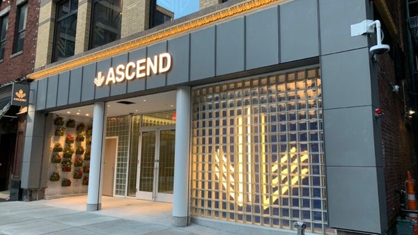 Boston's first downtown adult-use marijuana store opens around the ...