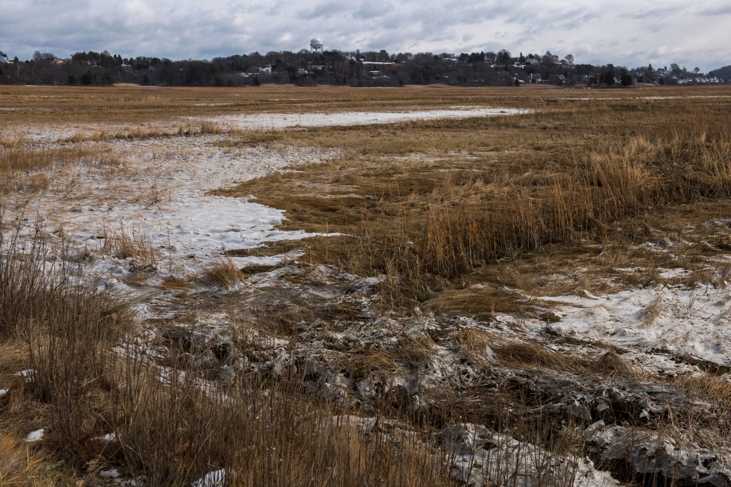 $1M federal grant to help salt marsh restoration project north of Boston