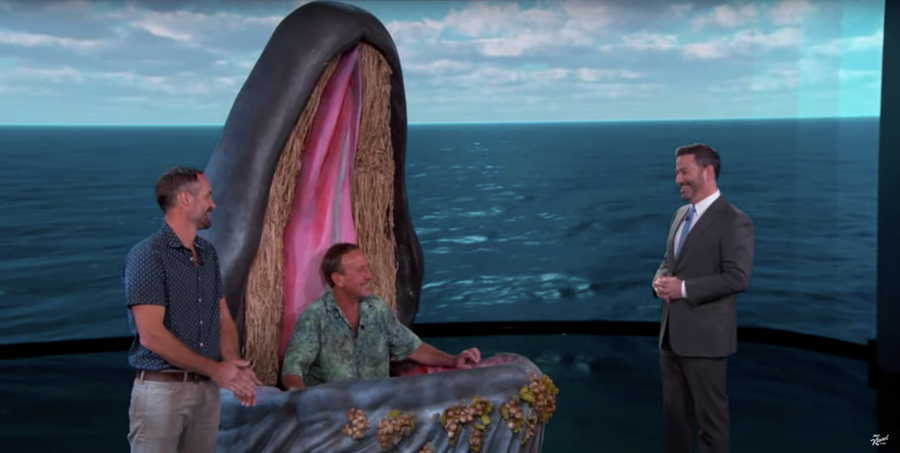 Rob Gronkowski on ‘Shark Week’: ‘I'm part of science! Who would have ...