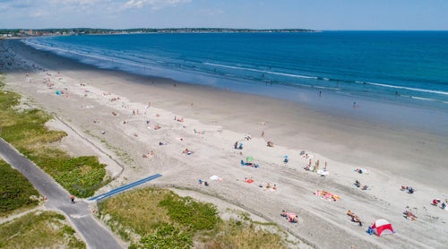 What you need to know about sharks if you’re heading to Cape Cod ...