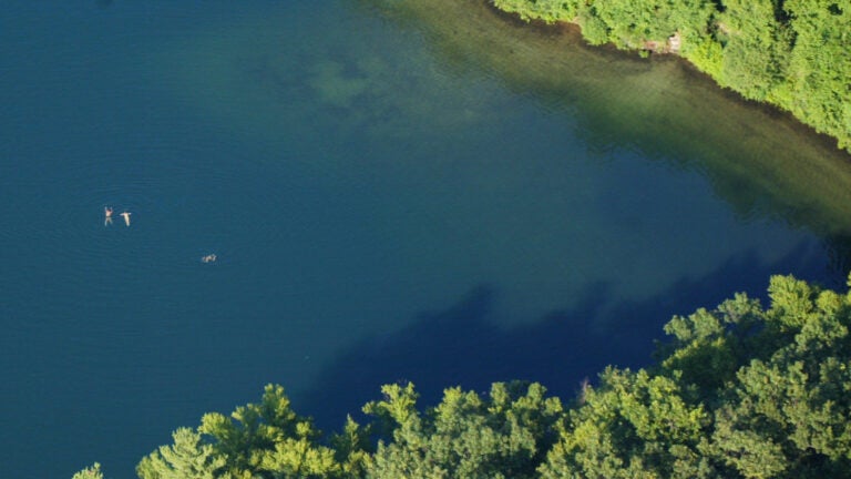 Backlash follows after state bans open water swimming at Walden Pond