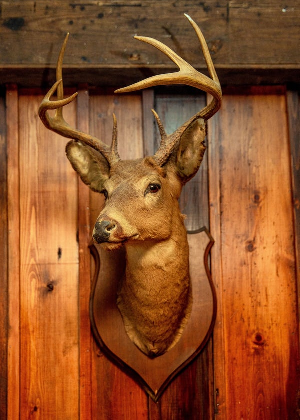 Hunter's Kitchen & Bar open in South Boston: Take a look inside