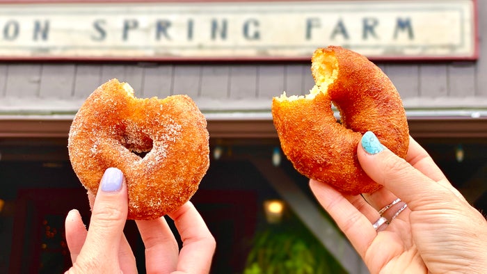The best cider doughnuts in New England this fall 2025