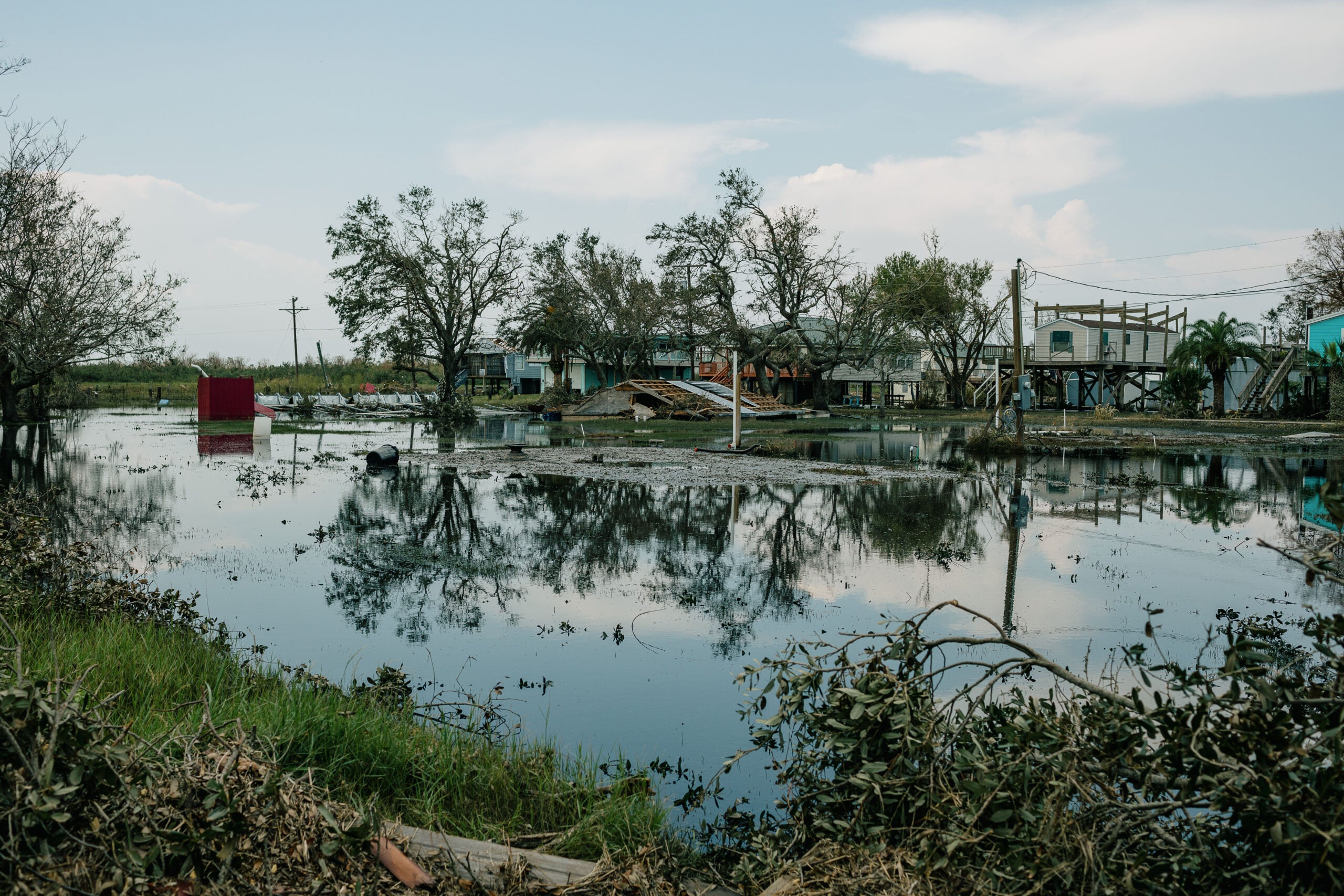 Florida man accused of forcing small alligator to drink beer