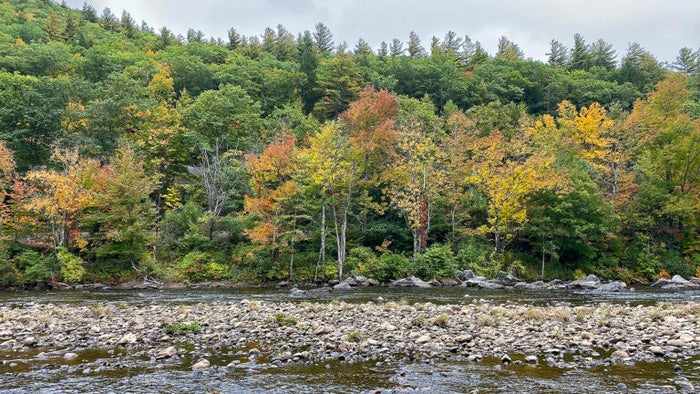 9 Massachusetts hiking trails to tackle this fall