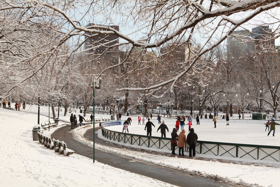 Best Boston museums: 12 museums everyone should visit at least once