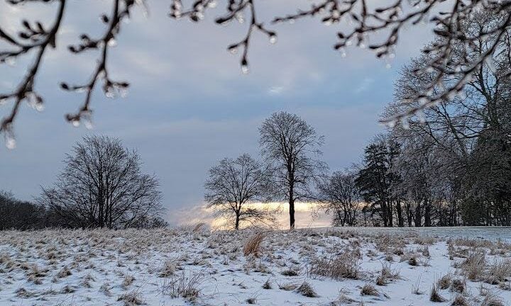 Solar spring is here, and that means we are gaining more daylight in an ...