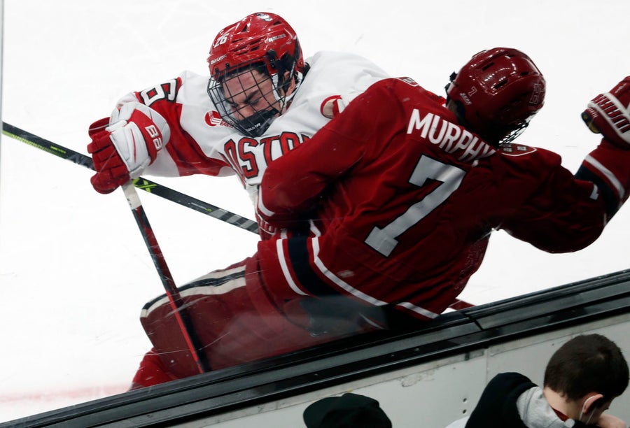 Why Boston University is reconsidering the name of its mascot, 'Rhett'