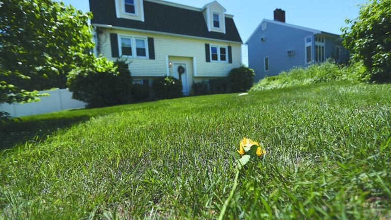 Delaware man pleads guilty in death of Massachusetts teen