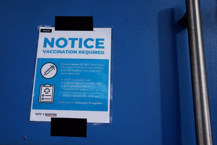 The spotted lanternfly has arrived. Here's everything you need to know.