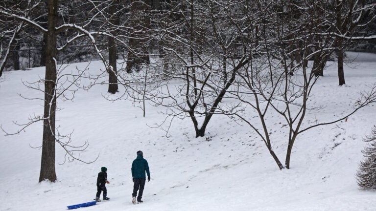 Here are the latest reported snow totals from Sunday's storm