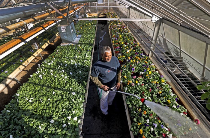 Solar spring is here, and that means we are gaining more daylight in an ...