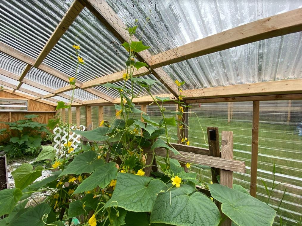 Homeowners embark on projects that will outlast the pandemic