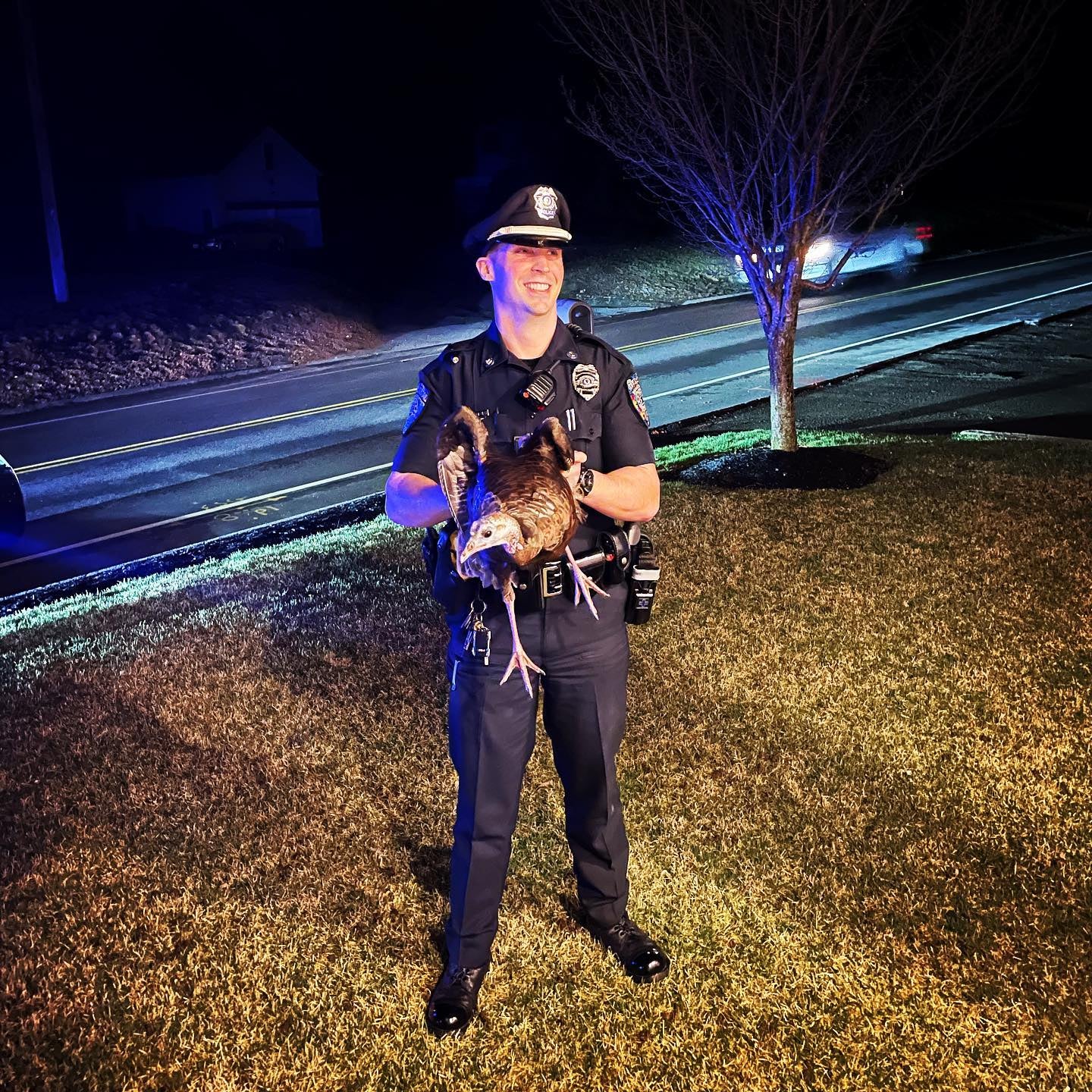 Turkey invades Mass. house, second incident in recent days