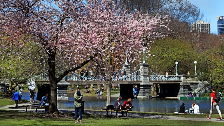 Here's what to expect from Tuesday's weather forecast