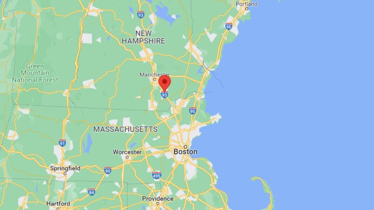 Wayward moose gets stuck in swimming pool in New Hampshire