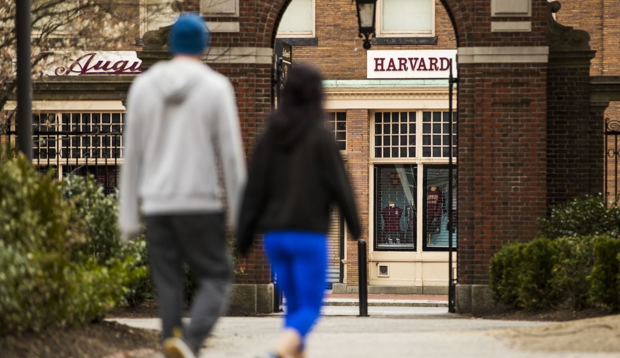 Key takeaways from the Spring 2022 Harvard Youth Poll