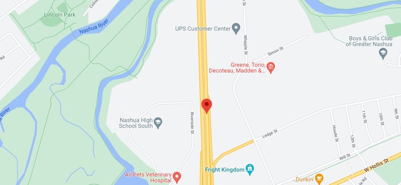 Wayward moose gets stuck in swimming pool in New Hampshire