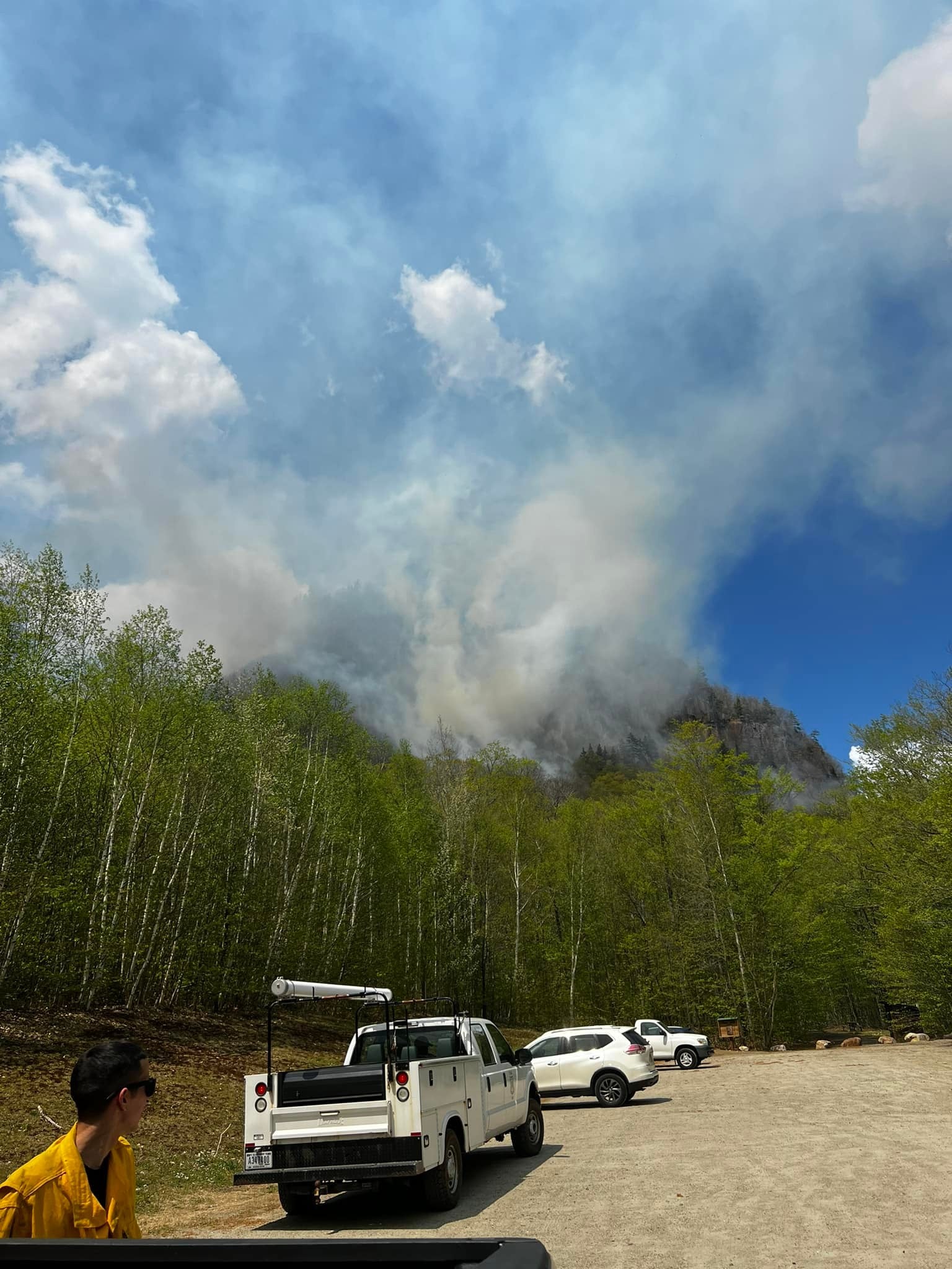 Firefighters battle large forest fire in White Mountains