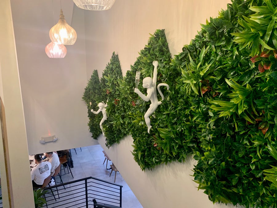 New American cuisine and a tropical atmosphere come together at Eva