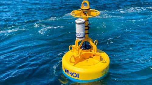 Robotic buoys developed on Cape Cod to keep Atlantic right whales safe