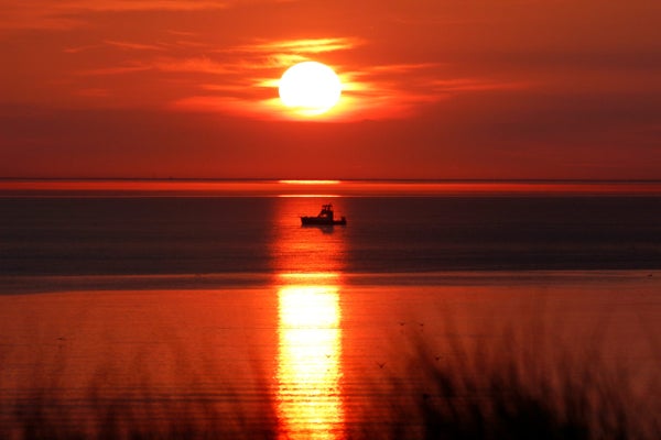 5 things to do when visiting Barnstable