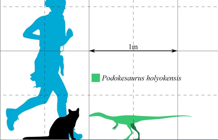 Mass. now has an official state dinosaur, and he's a cute little guy