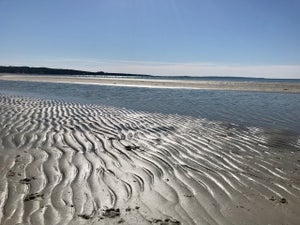 Here’s why you should go to these Cape Cod beaches