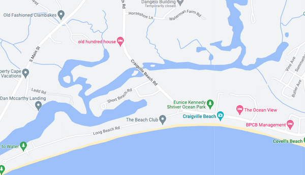 Solitary Orca spotted off the coast of Cape Cod