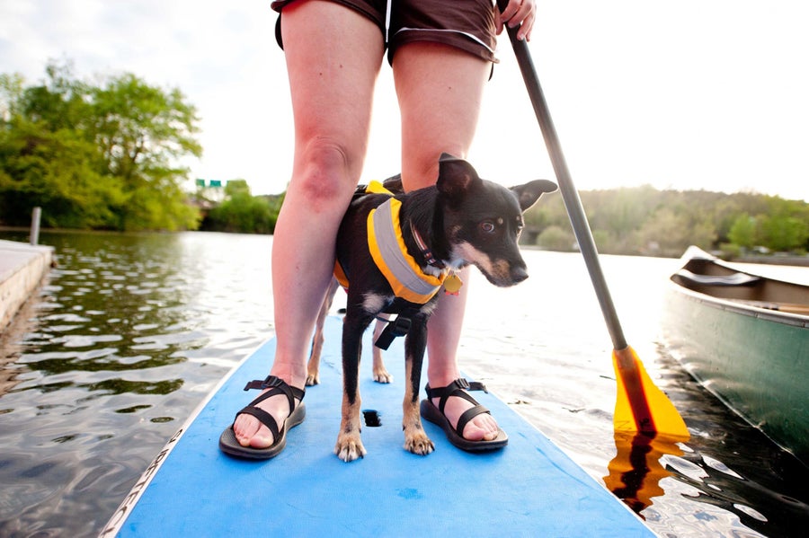 15 great things to do along the Charles River