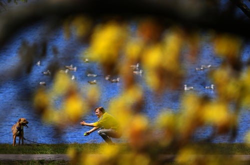 15 great things to do along the Charles River