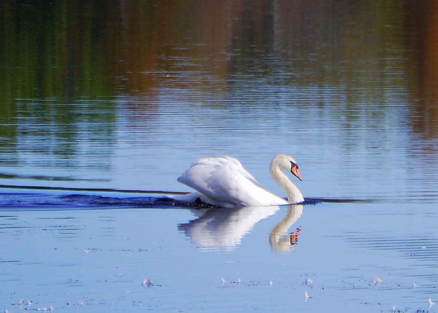 15 great things to do along the Charles River