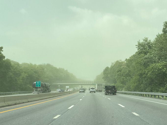 Massive pollen clouds sweep through Massachusetts