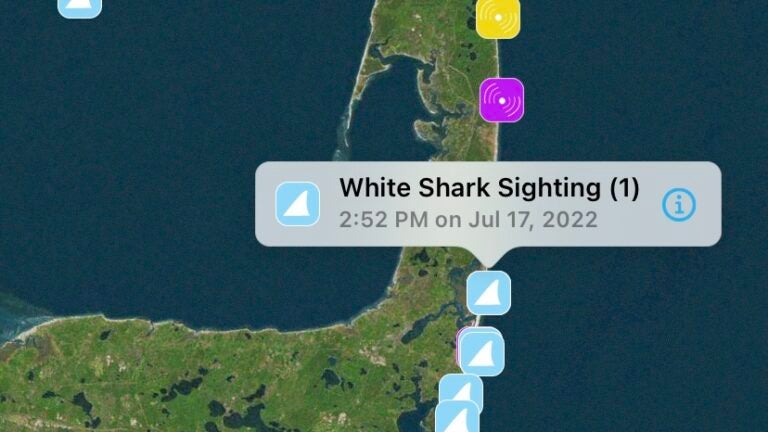 Boston.com: Local breaking news, sports, weather, and things to do