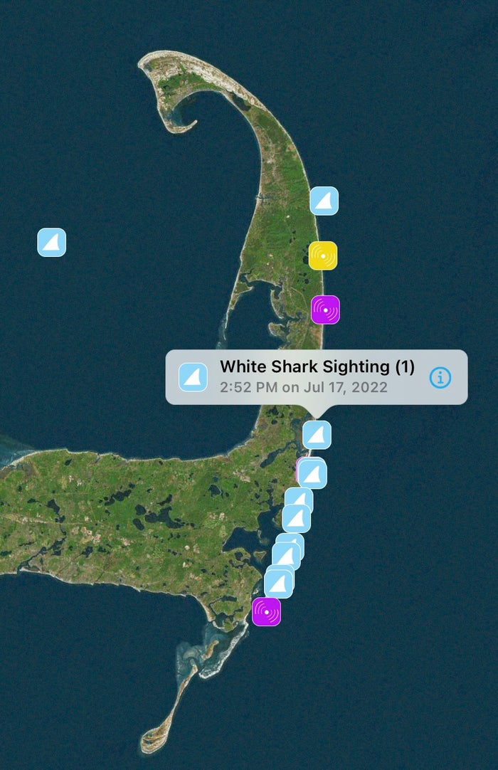 Thousands of Cape homeowners may need to replace their septic systems