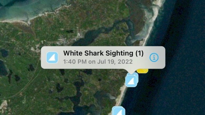 Five shark sightings Tuesday on Cape Cod