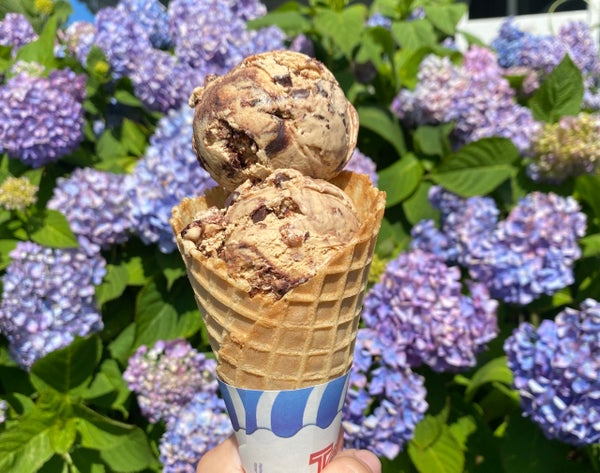 Best ice cream in Massachusetts (Summer 2025 guide)
