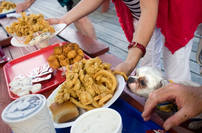 Where to get the best fried clams in Massachusetts