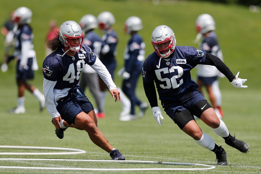 Bill Belichick's rain jacket hood at Patriots camp inspired a deluge of ...