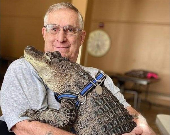 Florida Man Accused Of Forcing Small Alligator To Drink Beer