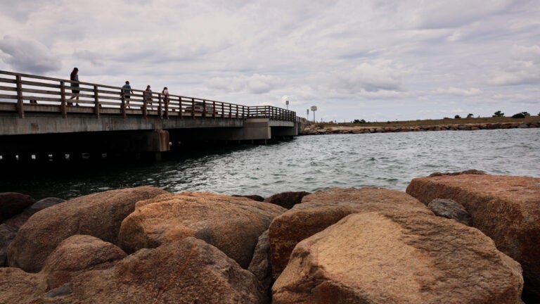 A behind-the-scenes look at the making of 'Jaws'