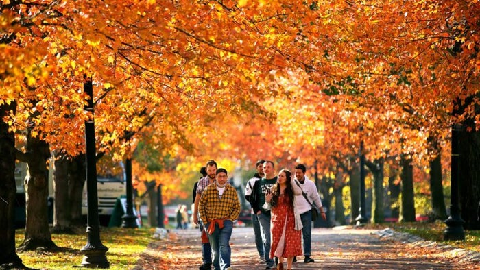 12 Bostonians share their favorite leaf peeping spots in New England