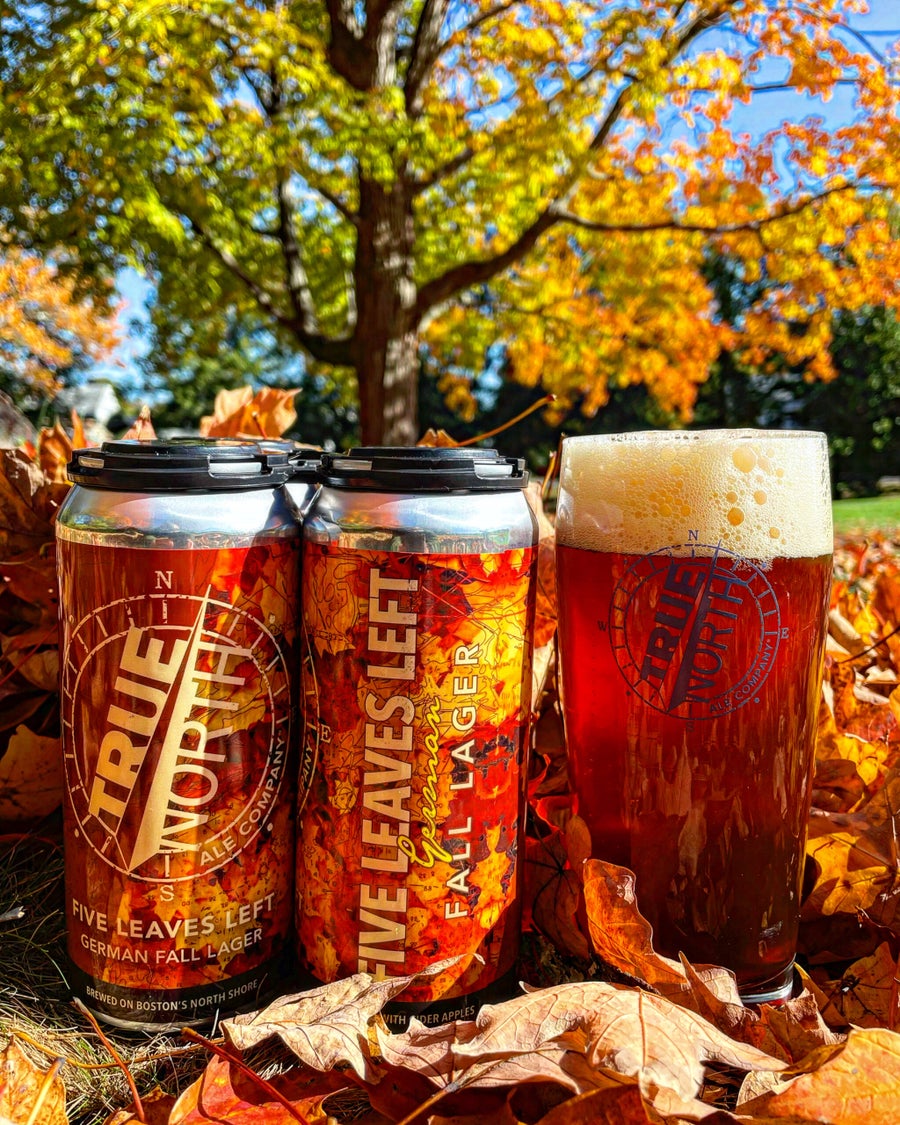 Best fall beers: 10 New England fall beers for 2024
