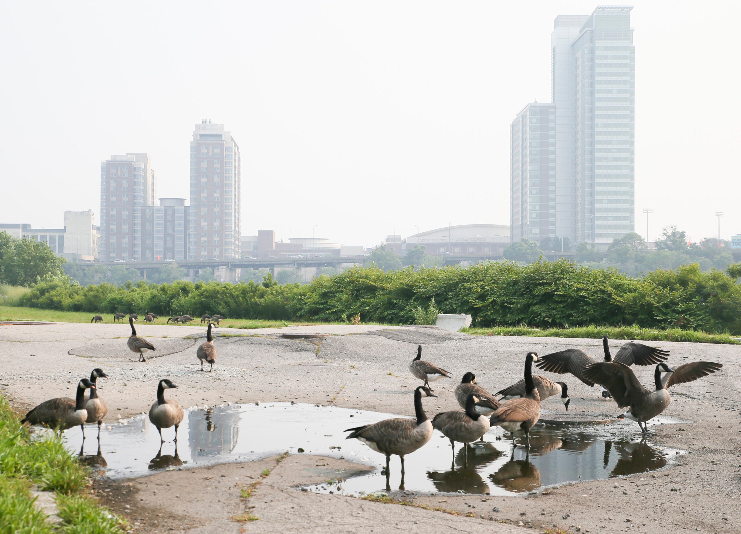 Smoke from western wildfires will bring a 'milky haze' to Boston skies