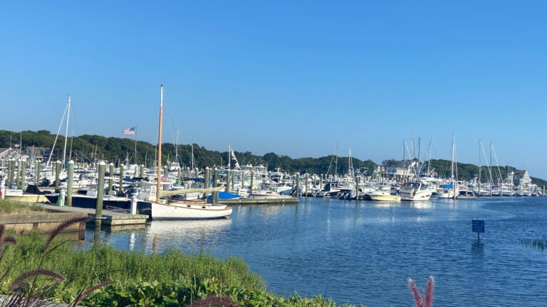 5 things to do when visiting Eastham