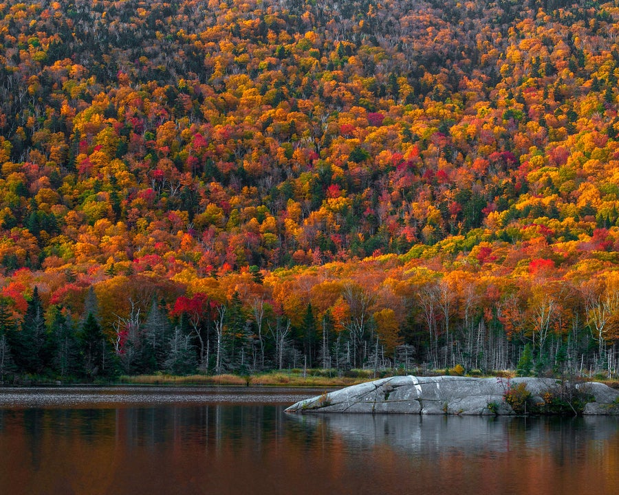 We asked for the best pictures of fall foliage. Here are our favorites.